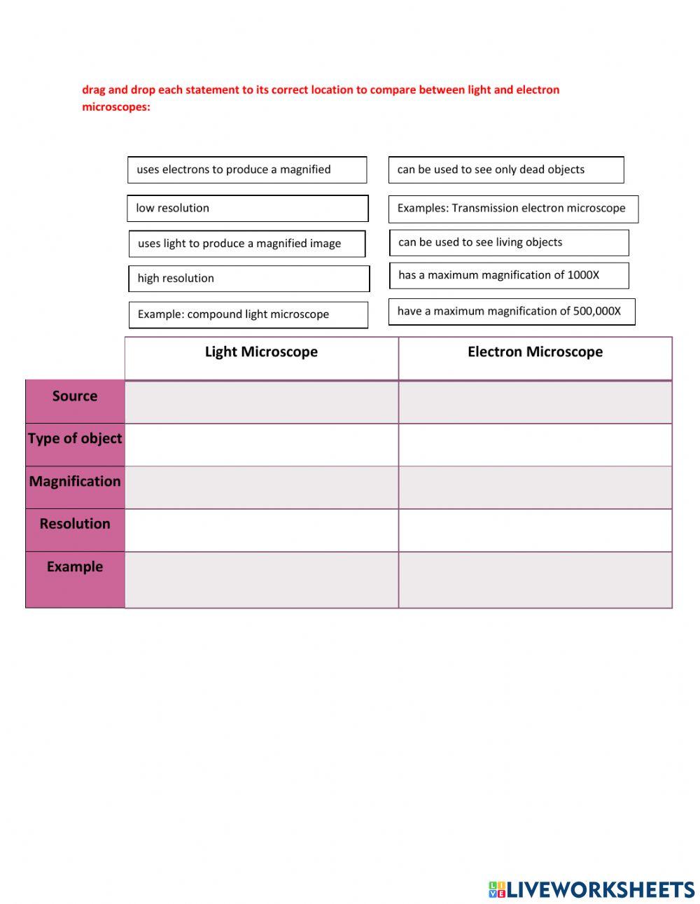 Light and elect… | Free Interactive Worksheets | 1433435
