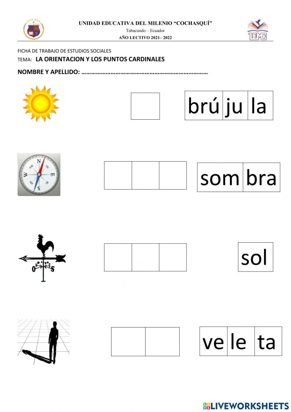 Ficha de trabajo eess adaptacion la orientacion worksheet | Live Worksheets