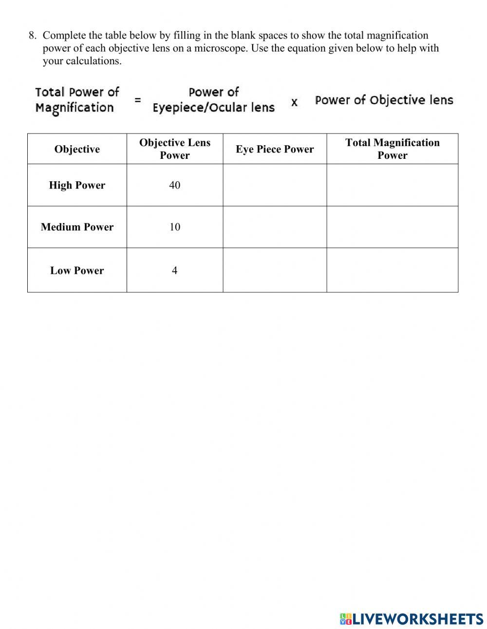 microscope worksheet tes