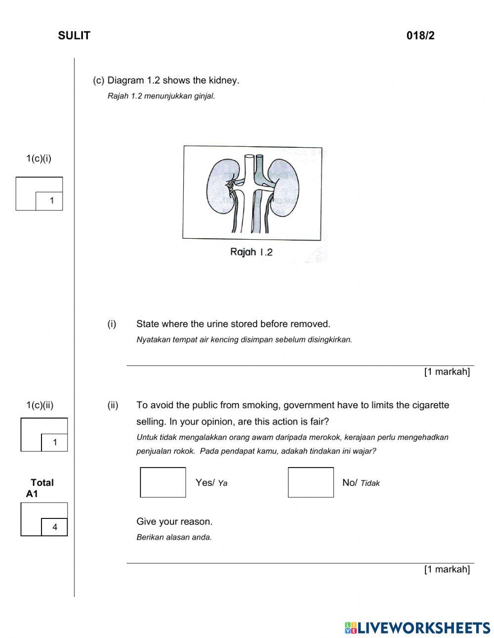 Science Year 4 … | Free Interactive Worksheets | 1436450