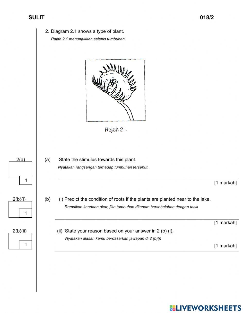 Science Year 4 … | Free Interactive Worksheets | 1436450
