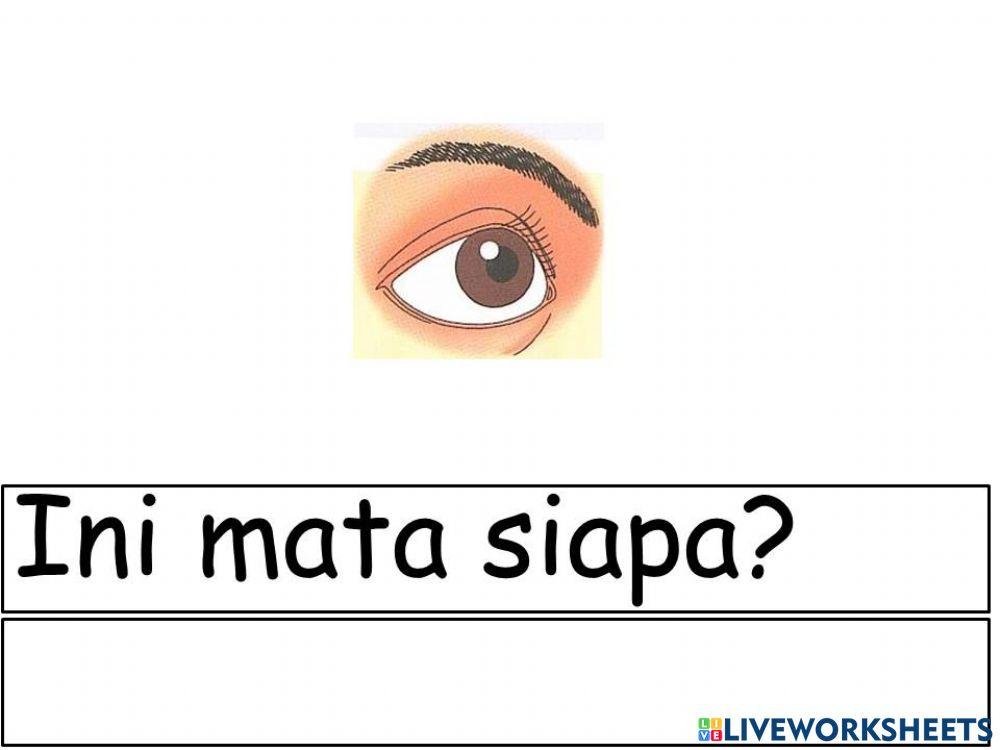 dua suku kata r041 worksheet | Live Worksheets