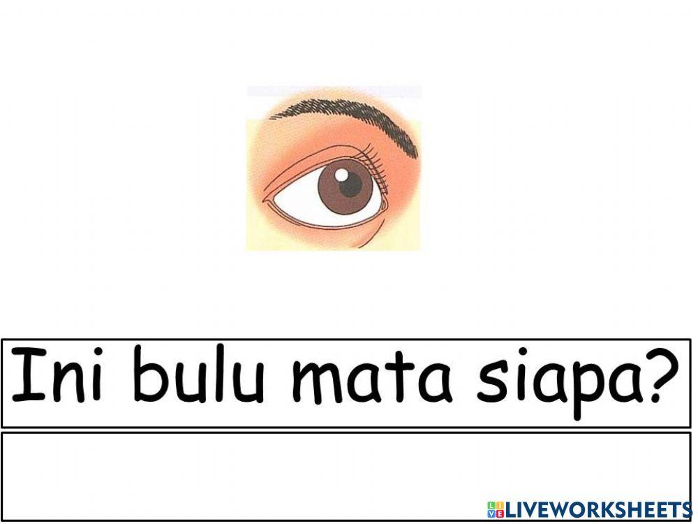 dua suku kata r043 worksheet | Live Worksheets