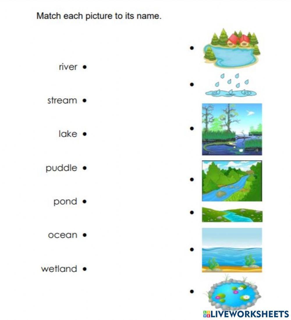 Earth year 2 | Free Interactive Worksheets | 1437383