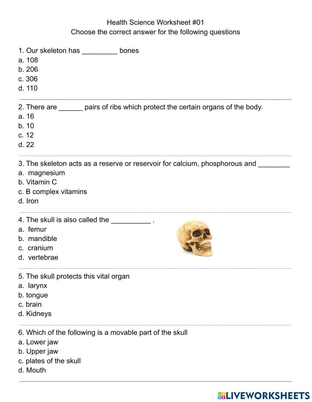 Stds. 5-6 Healt… | Free Interactive Worksheets | 1438702