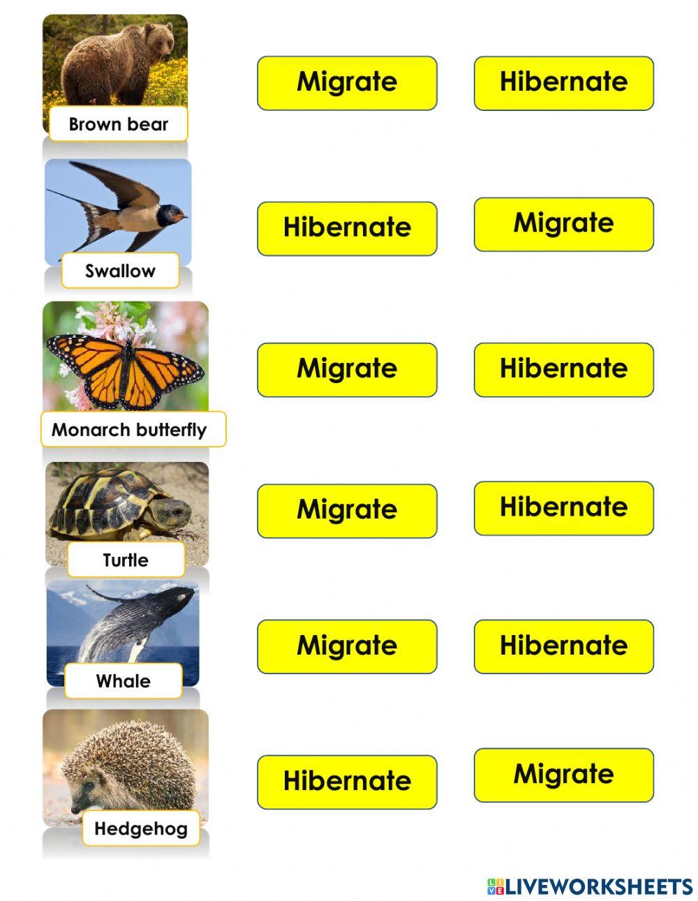 Weather Effects… | Free Interactive Worksheets | 1462399