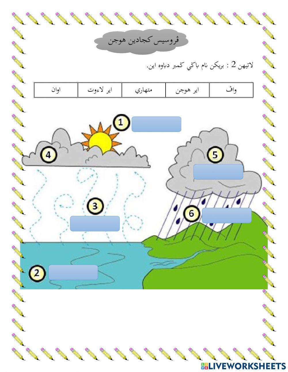 Pentingnya Hujan interactive worksheet | Live Worksheets