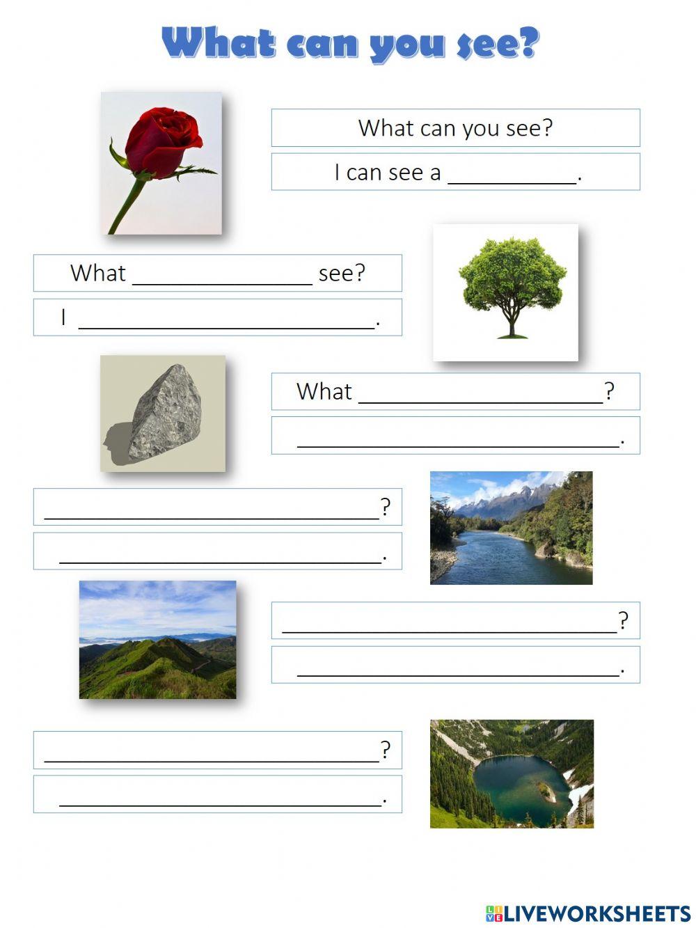 1439548 | What can you see? | teacher_sim