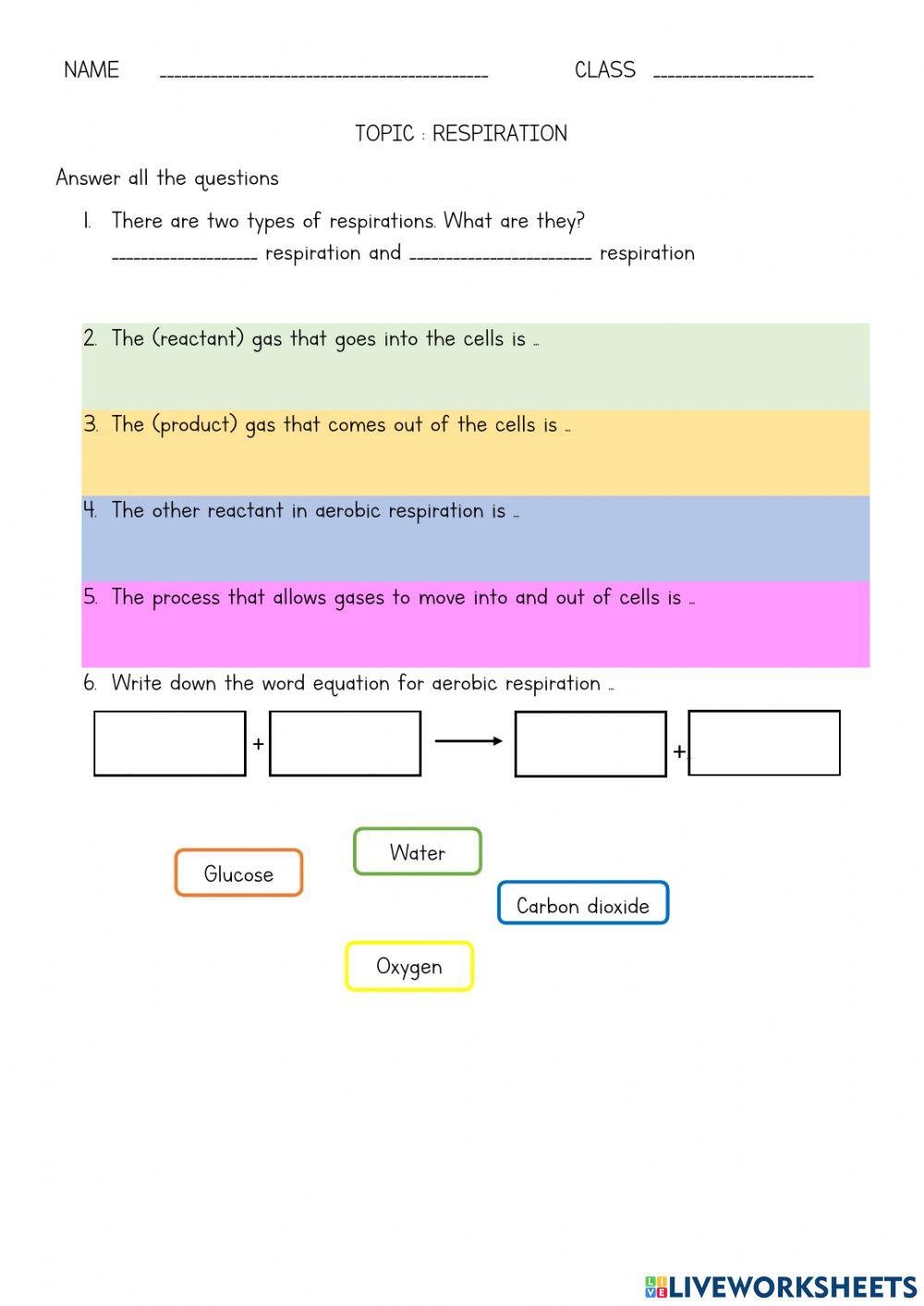 Respiration | Free Interactive Worksheets | 1439683
