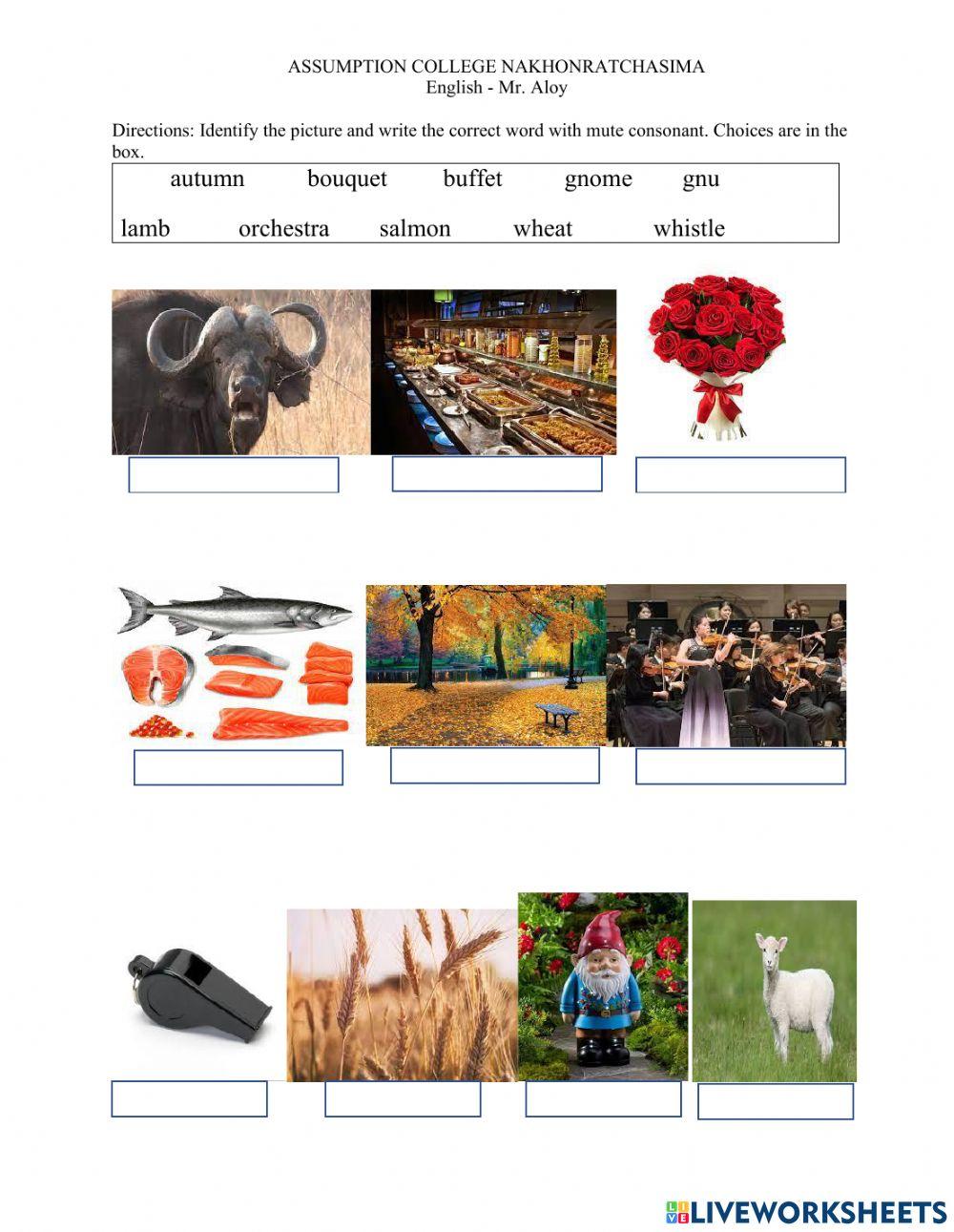 Mute Consonants online exercise for | Live Worksheets