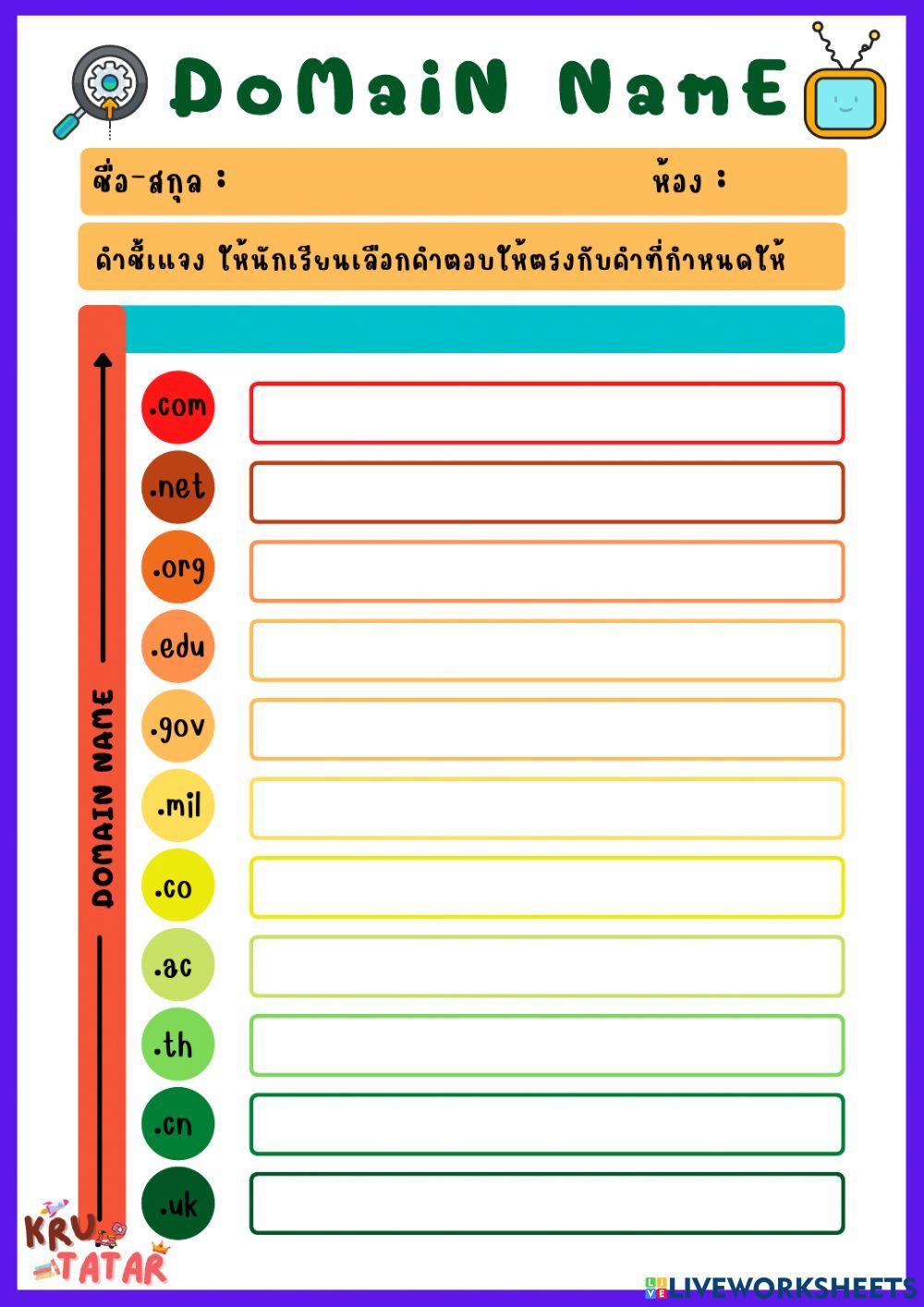 Domain Name worksheet | Live Worksheets