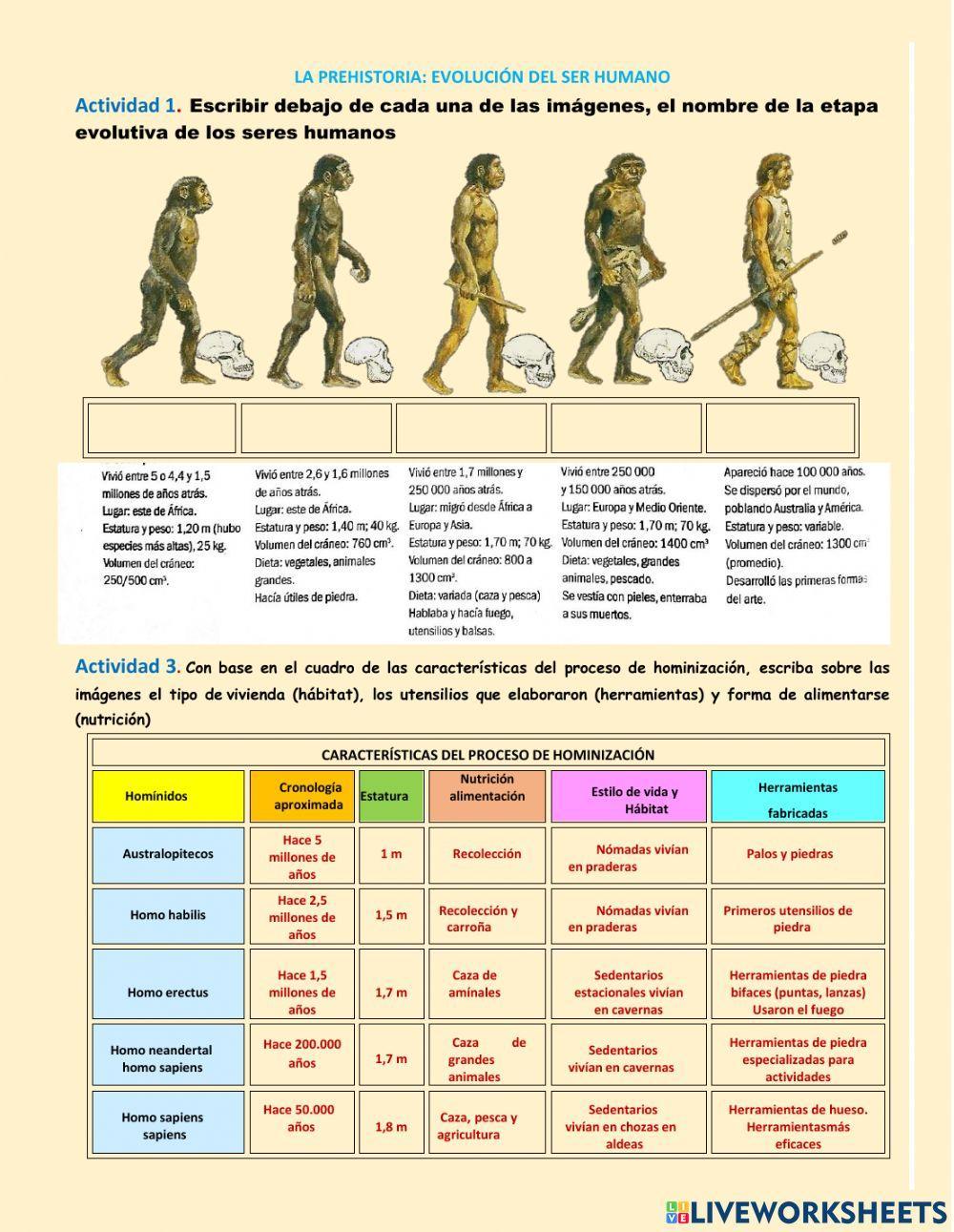 transmitir Nuestra compañía tanto etapas del proceso de hominizacion ... transmitir Nuestra compañía tanto etapas del proceso de hominizacion ...