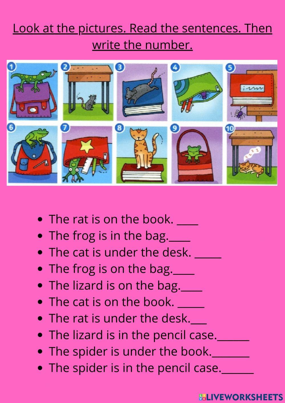 Pet show activity for 1 | Live Worksheets