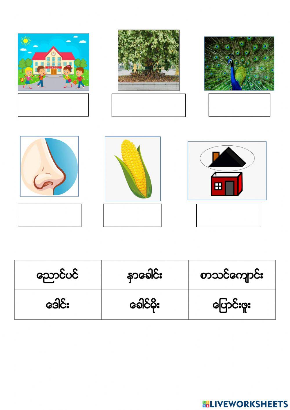 1444218 | Myanmar | Elvis95 | LiveWorksheets