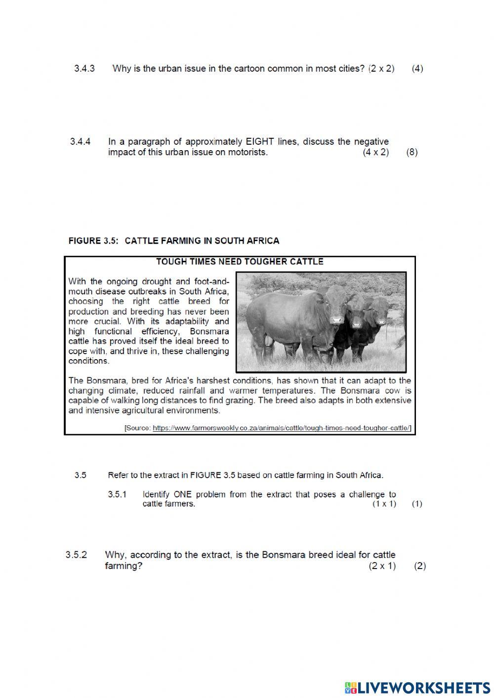 Geography paper… | Free Interactive Worksheets | 1448896