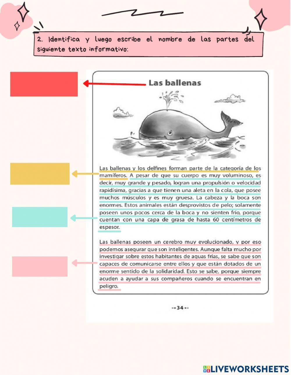 Texto Informativo Y Sus Partes Worksheet Texto Informativo T
