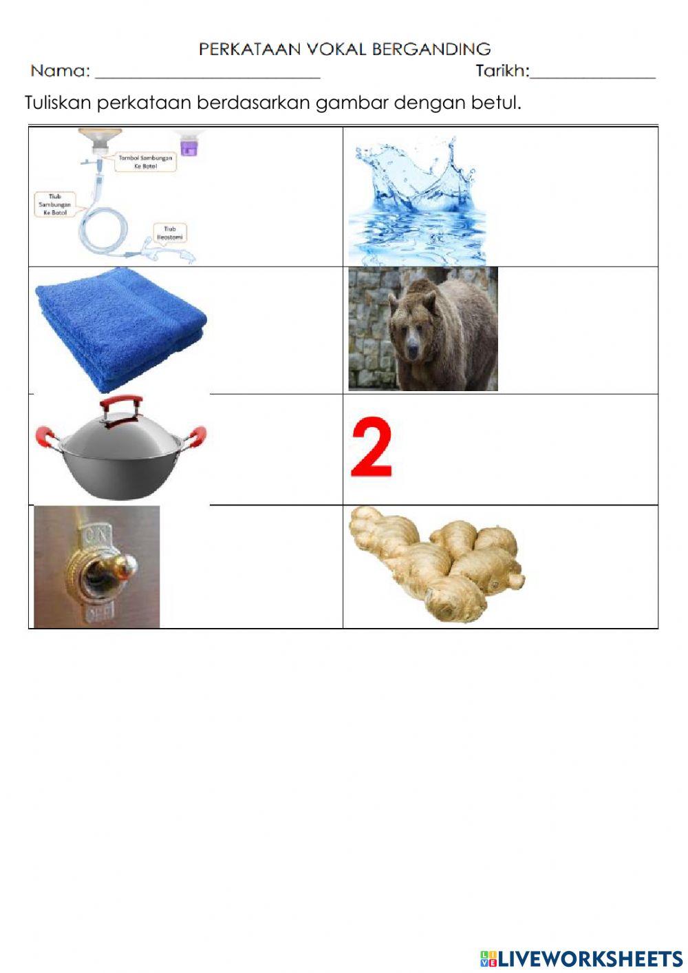 Perkataan vokal berganding 1447718 | Lim Shin Phey | Live