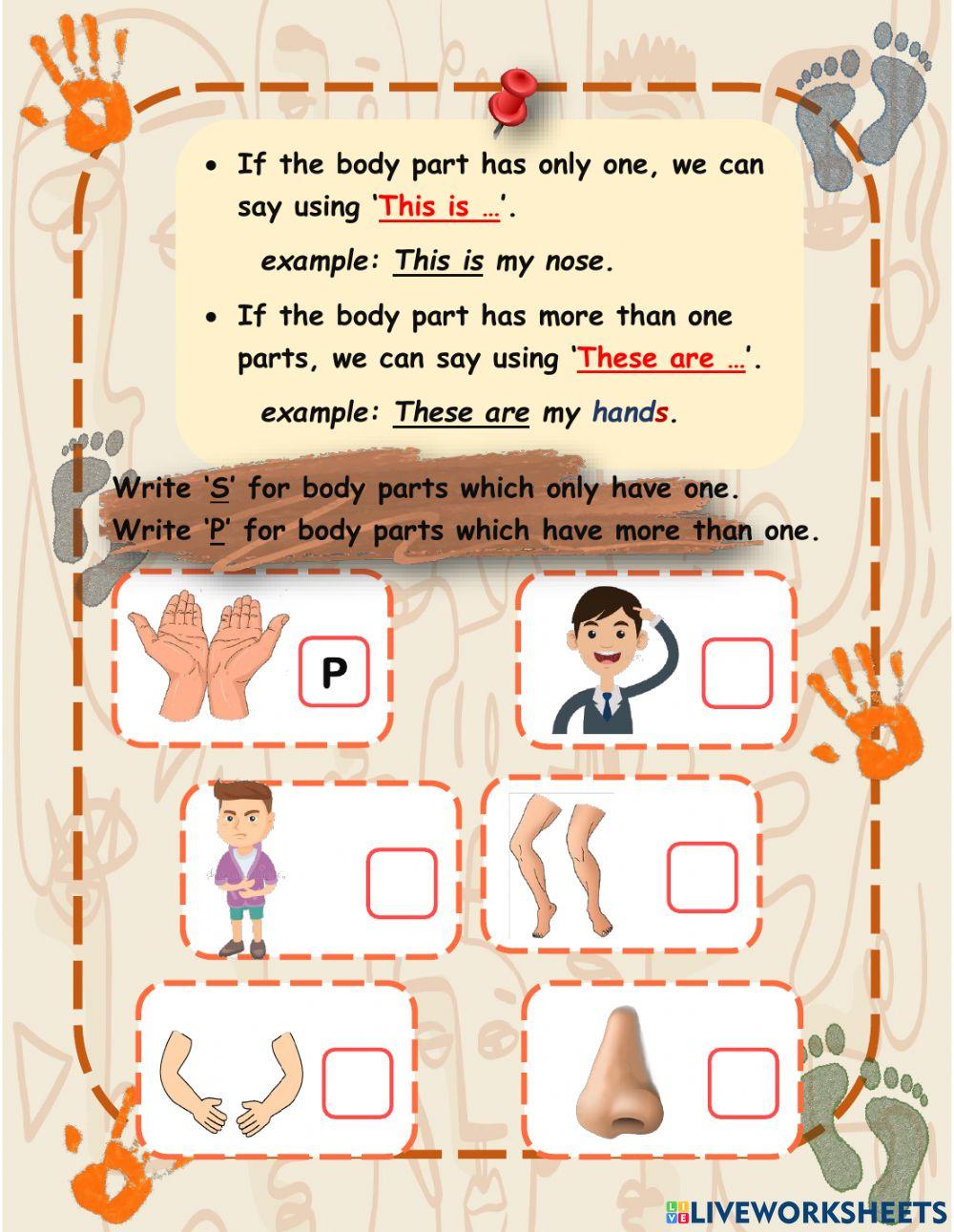 Bahasa Inggris Unit 2 (My Body) Grammar 1 worksheet | Live Worksheets