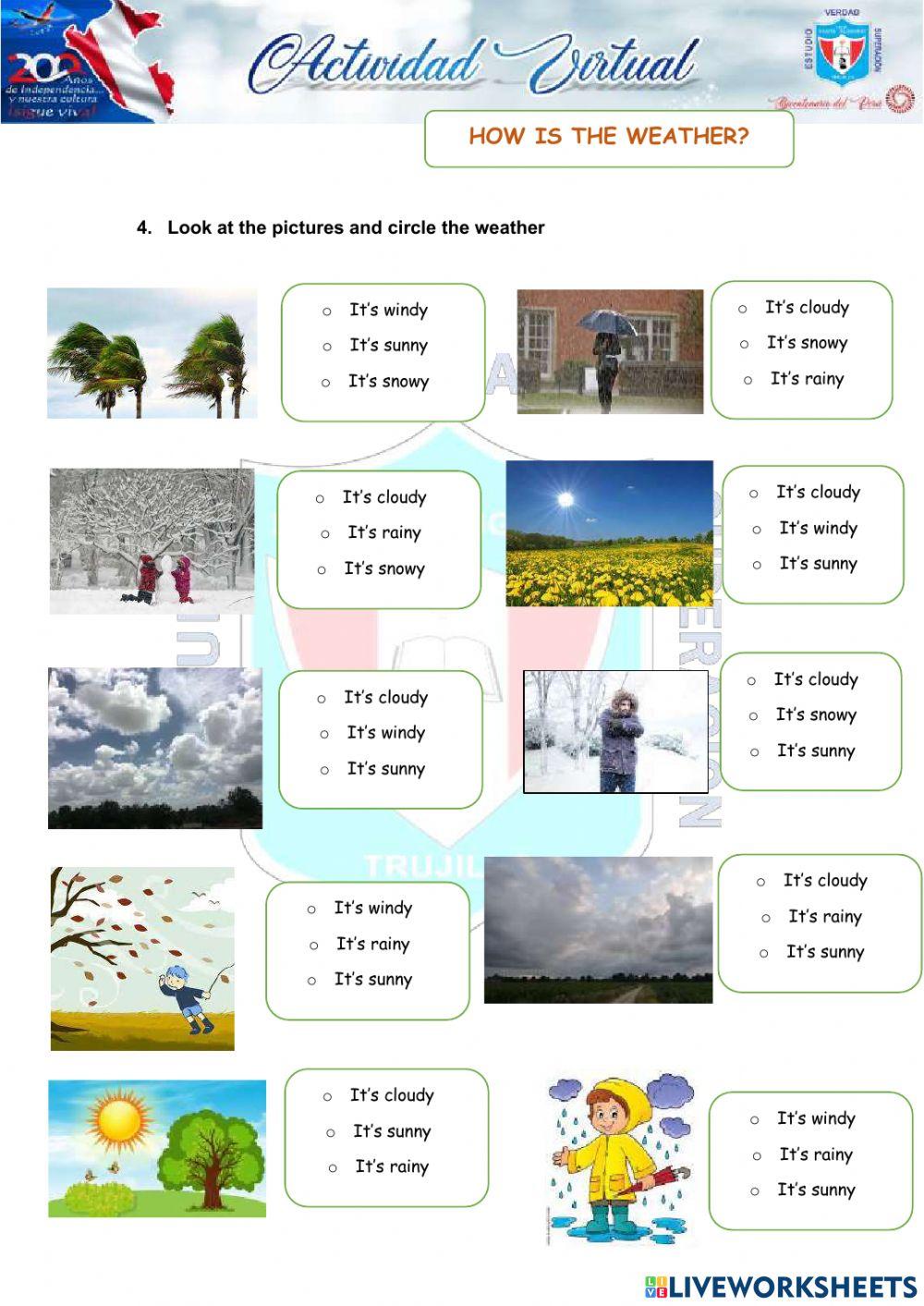 It's coldy worksheet | Live Worksheets