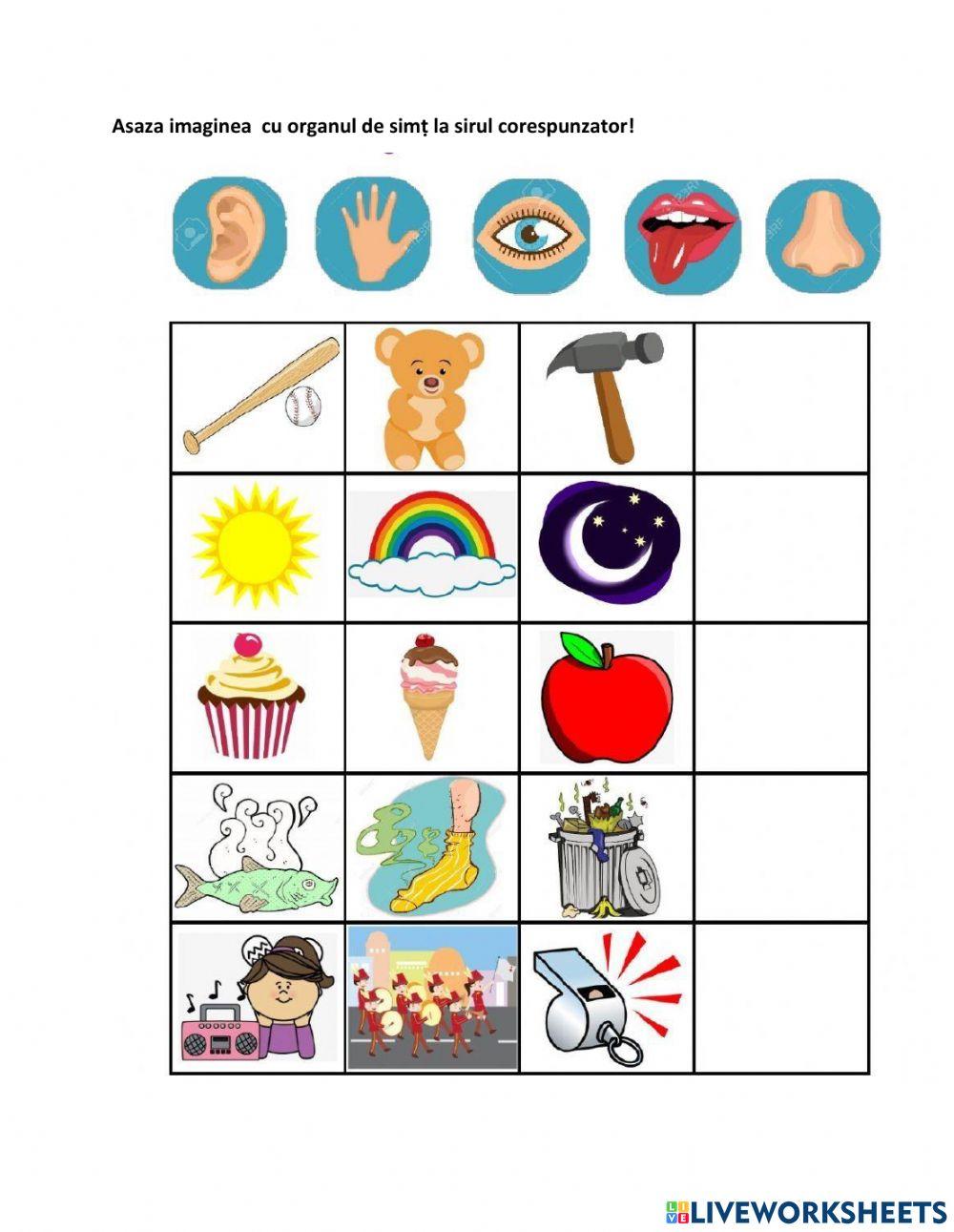 Simturile online activity | Live Worksheets