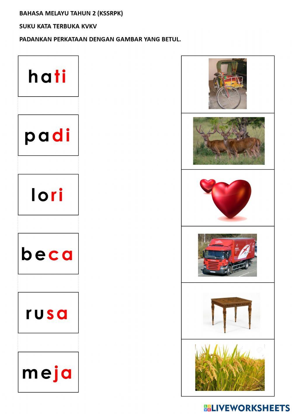 Bm ppki worksheet for 2 | Live Worksheets