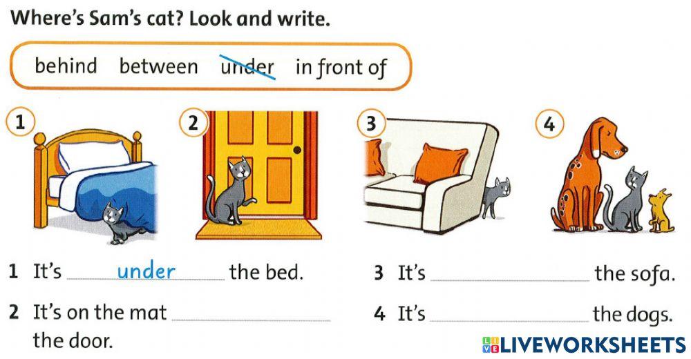 Ws 7 worksheet | Live Worksheets