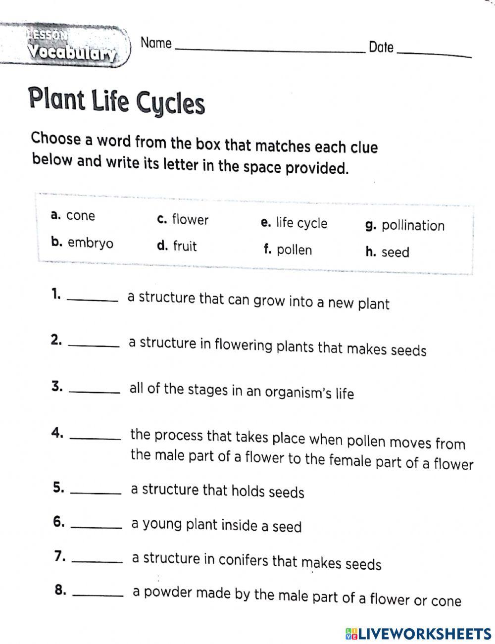 Unit 3: lesson 1 -3 worksheet | Live Worksheets