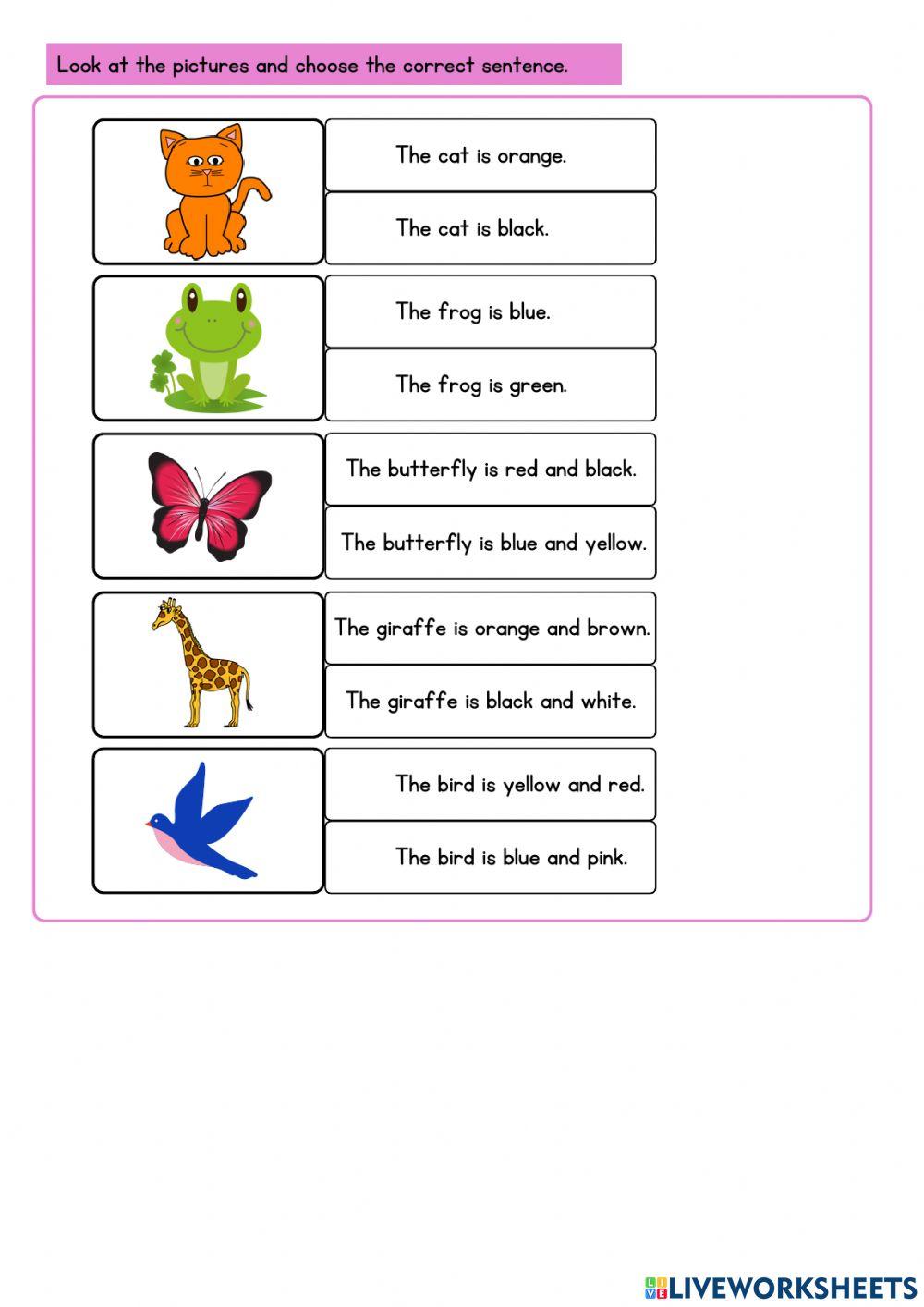 Pet show assessment worksheet | Live Worksheets