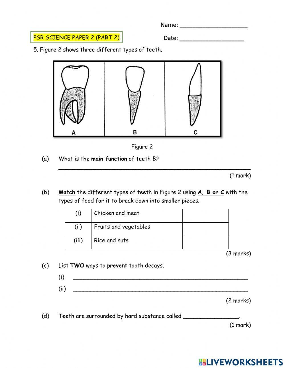 PSR Science Pap… | Free Interactive Worksheets | 1455561