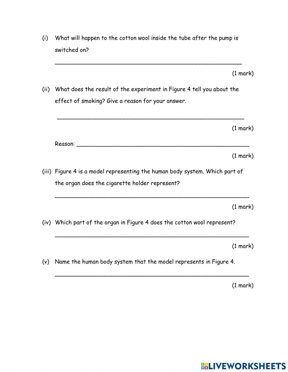 PSR Science Pap… | Free Interactive Worksheets | 1455561