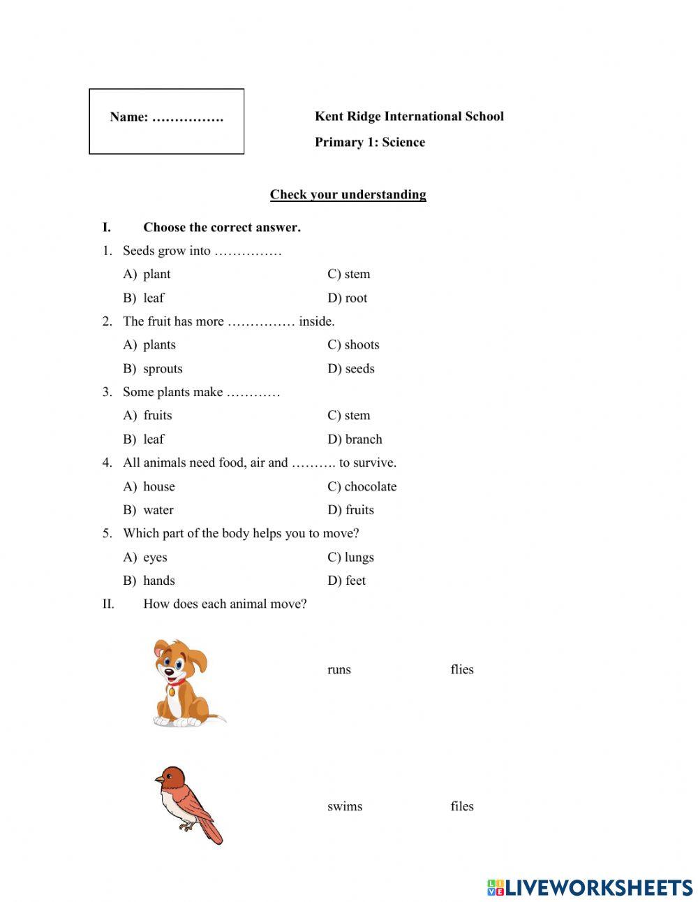 Practice P6-06 worksheet | Live Worksheets