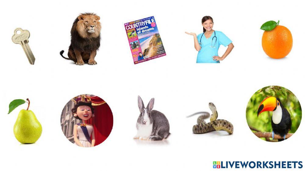 Abc exercise for PRIMARIA | Live Worksheets