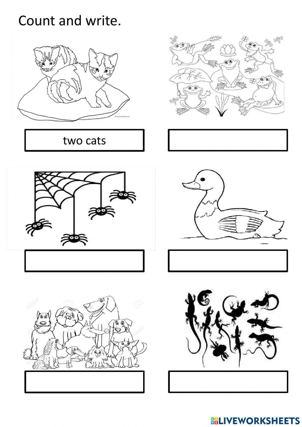 Count and write (pet show) worksheet | Live Worksheets