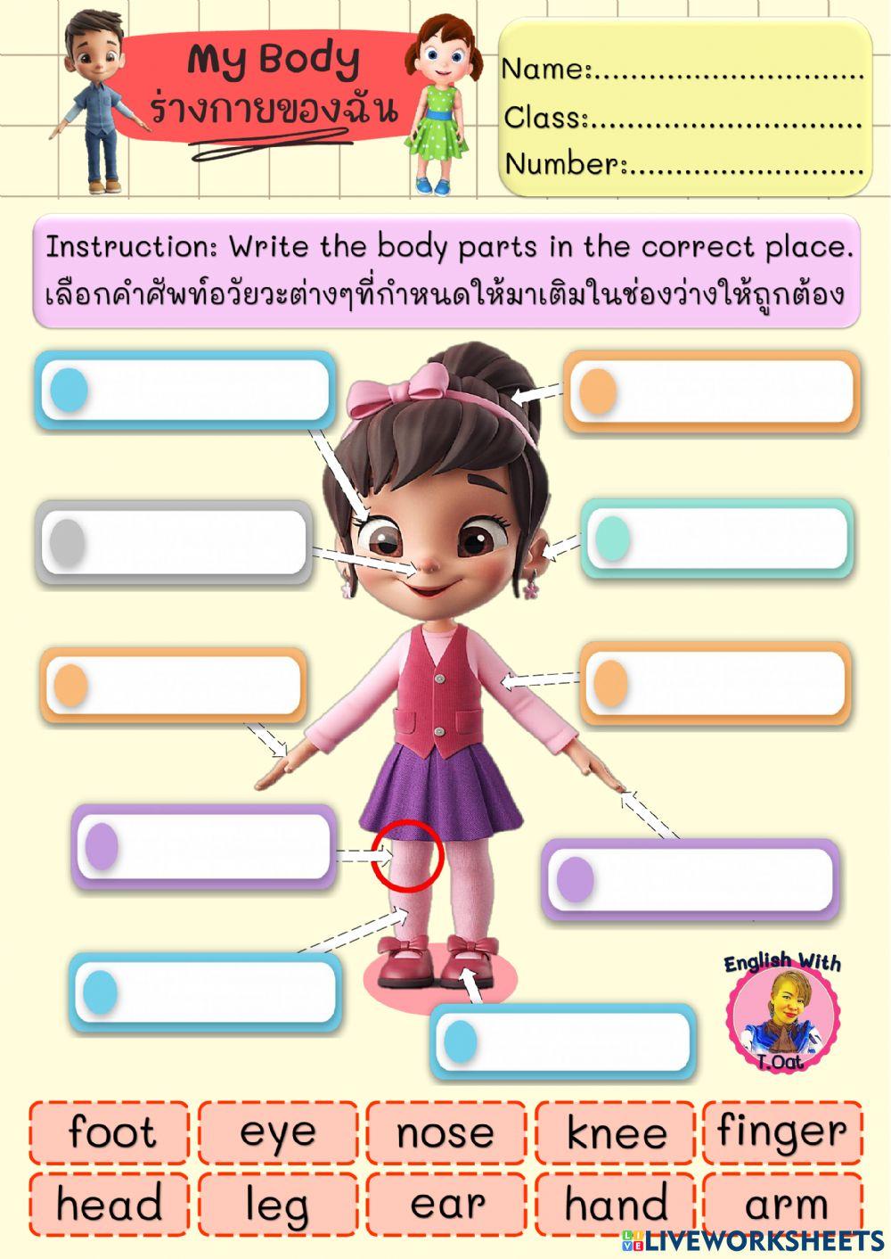 My body online exercise for Grade1 | Live Worksheets