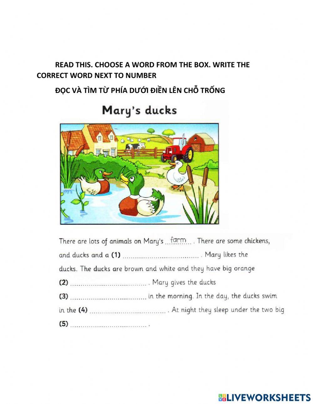 ST2.T1.P4 reading and writing worksheet | Live Worksheets
