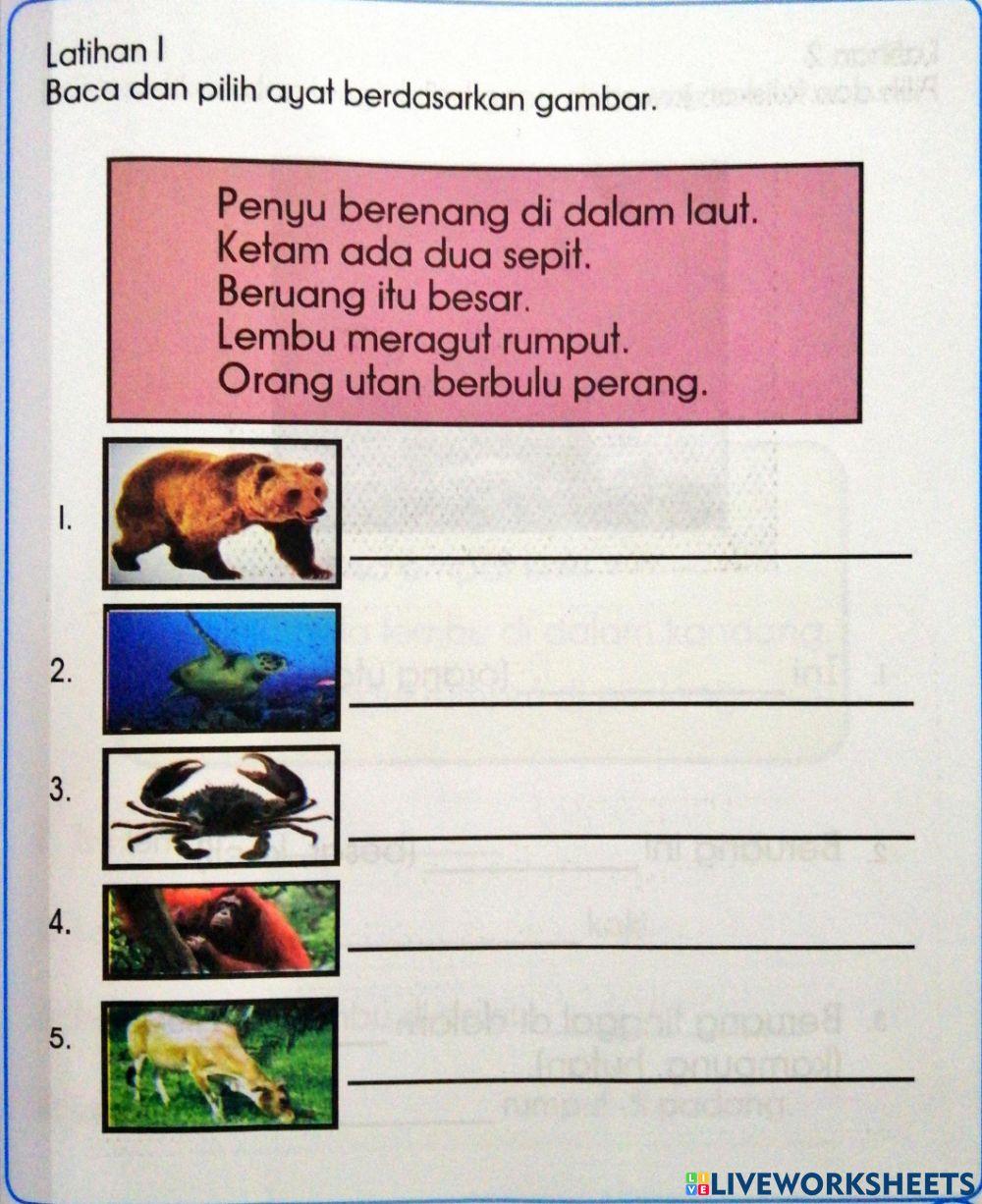 Unit 3 Kemahiran menulis worksheet | Live Worksheets