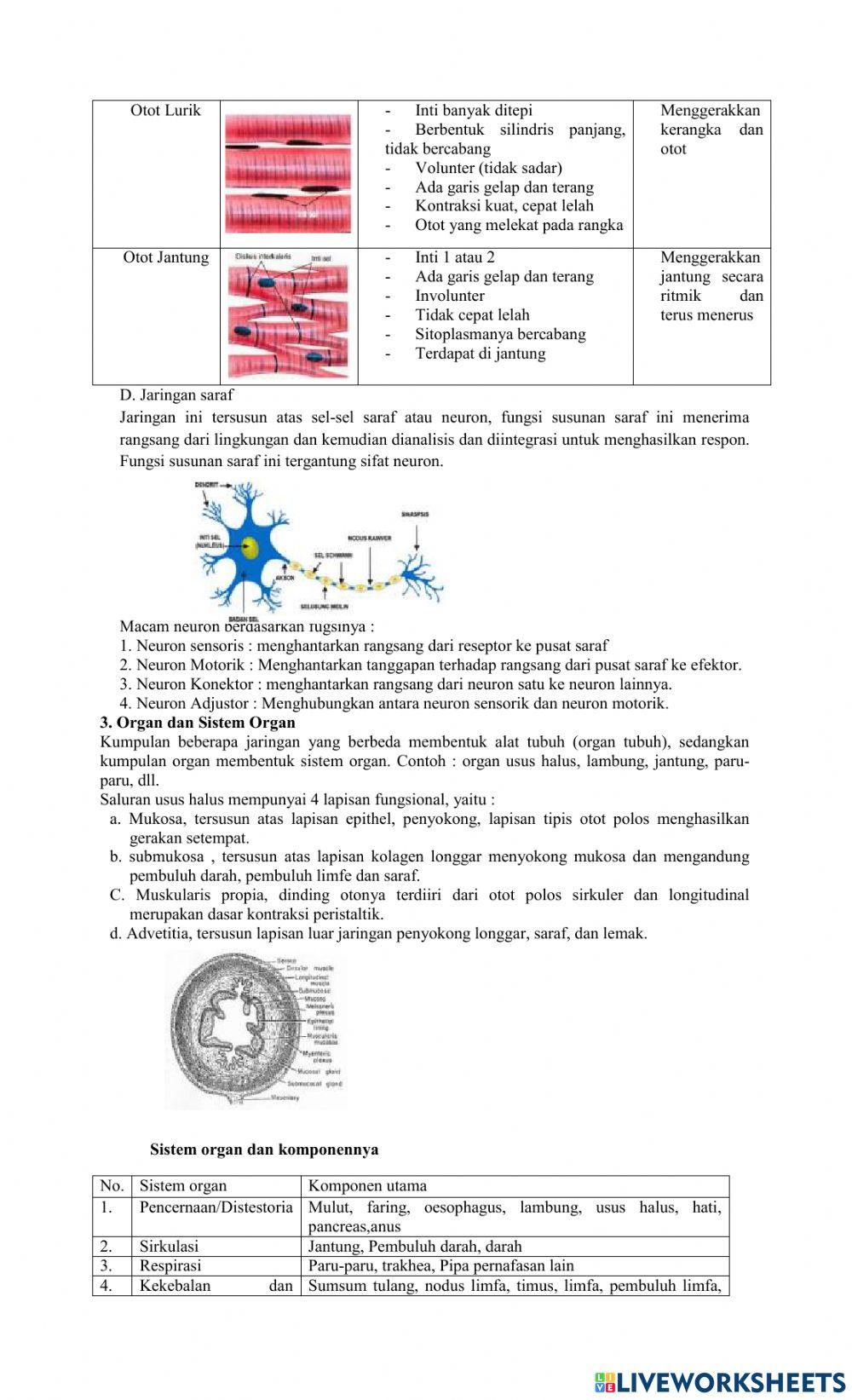 Lkpd biologi worksheet | Live Worksheets