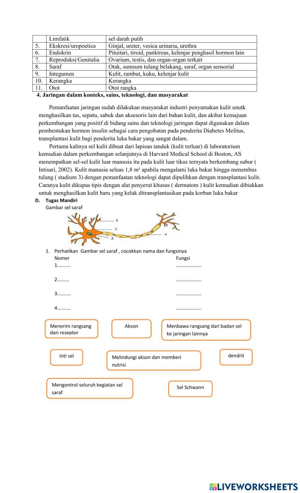 Lkpd biologi worksheet | Live Worksheets