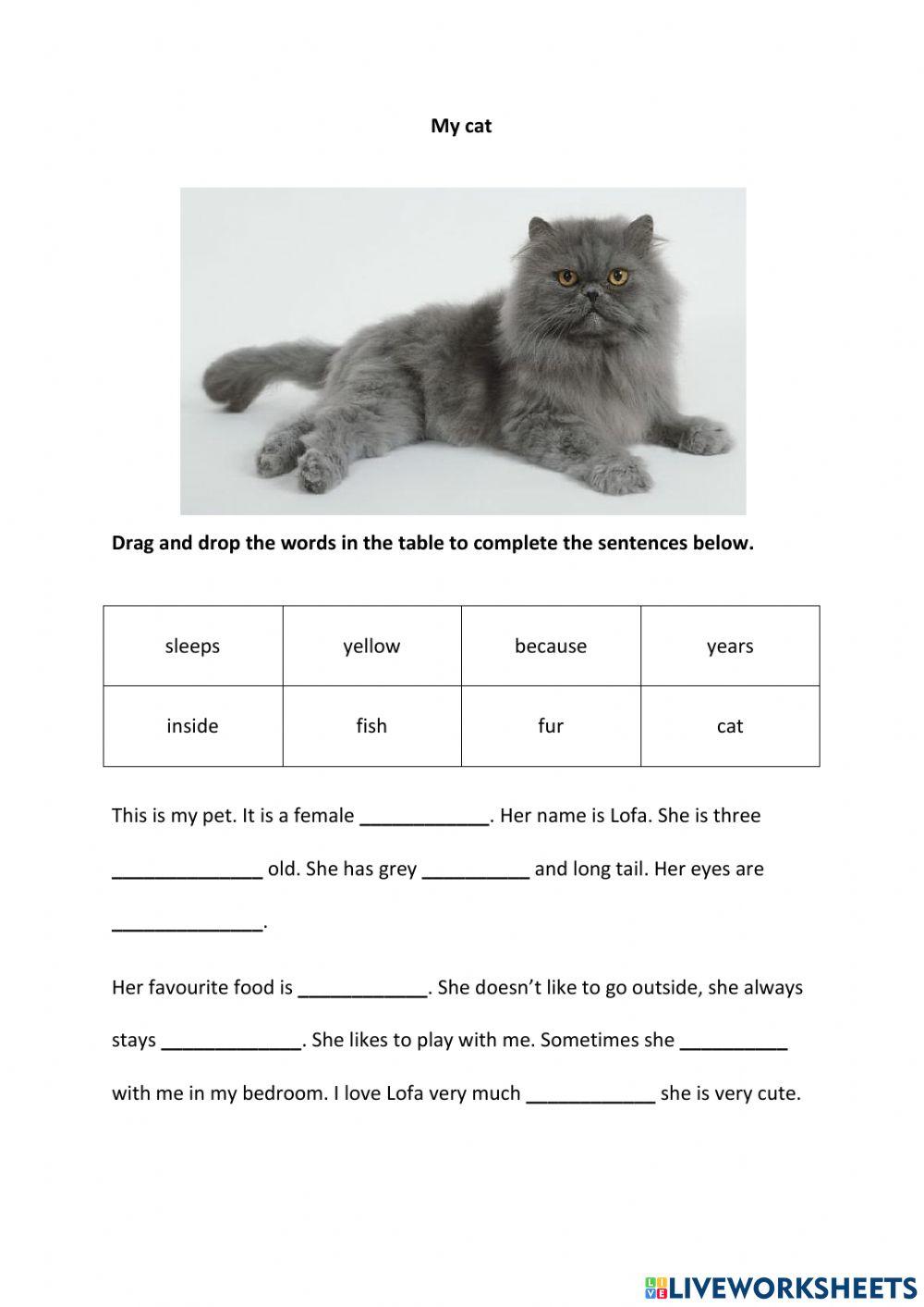My Pet interactive activity for 3 | Live Worksheets