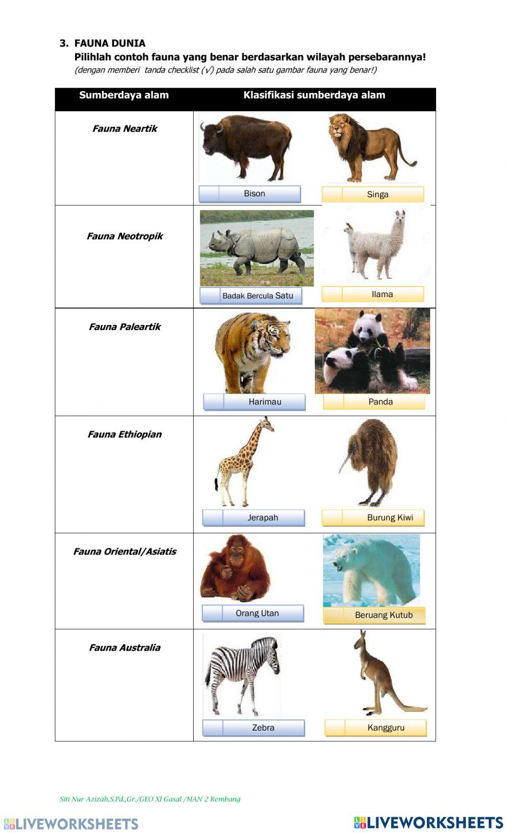LKPD Persebaran Flora dan Fauna | Chintya Mutiara Dewi