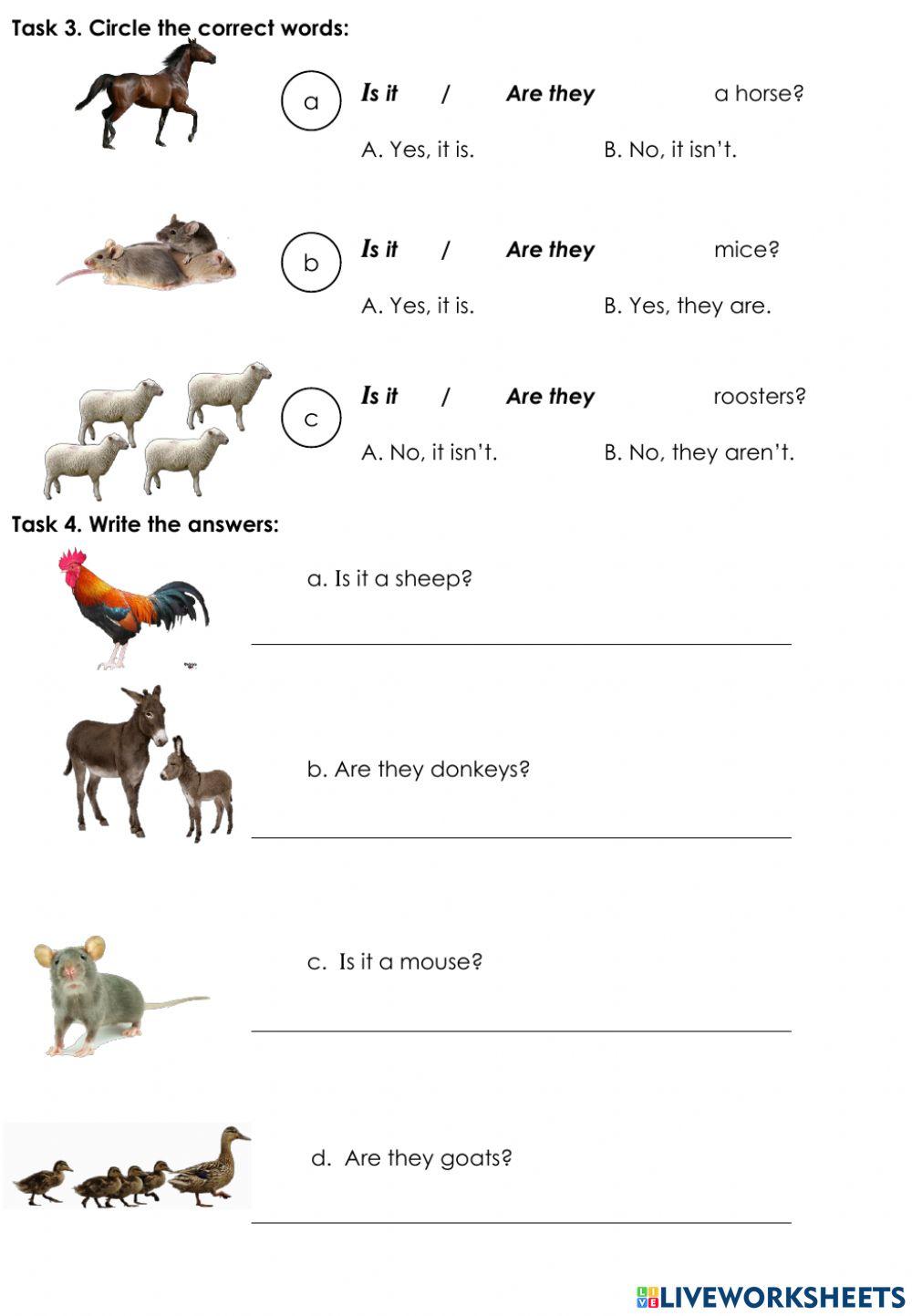 Academy stars s… | Free Interactive Worksheets | 1345604
