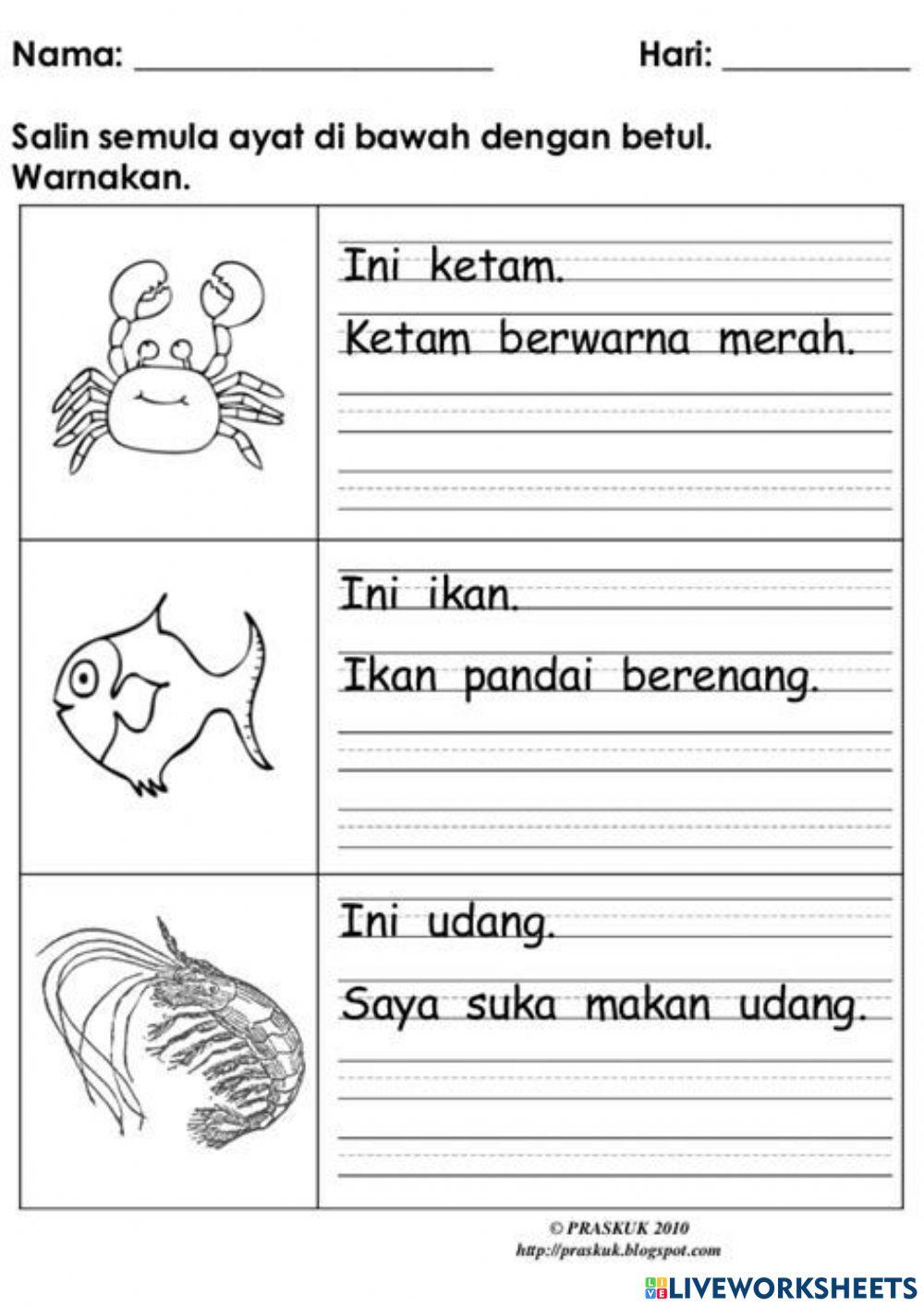 1346462 | Baca dan tulis semula | amisahaziz