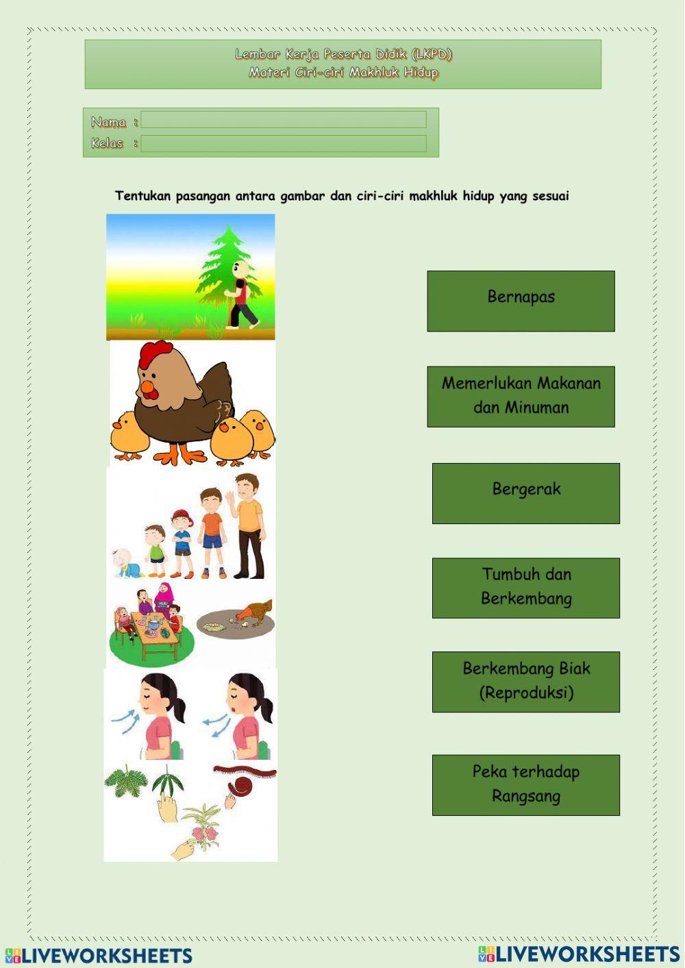 Lkpd ipa kelas 7 | Free Interactive Worksheets | 1347744