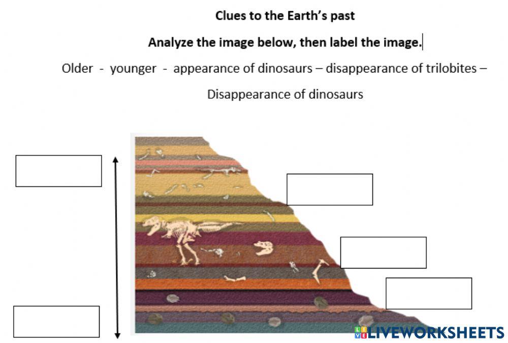 Fossils Online Exercise For Live Worksheets