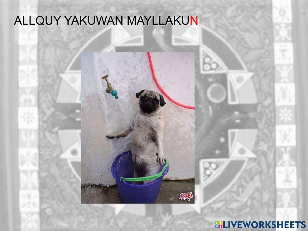 Kunan pacha worksheet | Live Worksheets