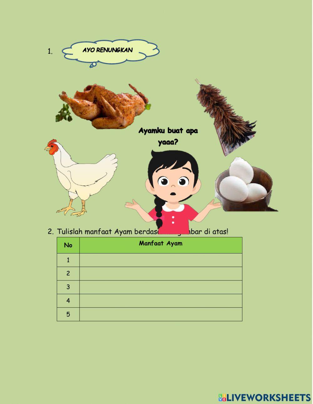Pp2 activity | Live Worksheets