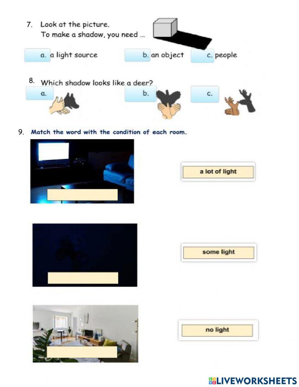 Shadow exercise for 2 | Live Worksheets