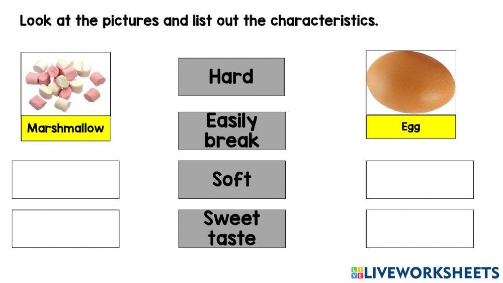 Properties of materials online exercise for preschool | Live Worksheets