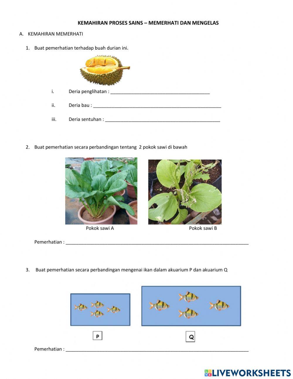 1466107 | KPS memerhati dan mengelas | Akulanajmi