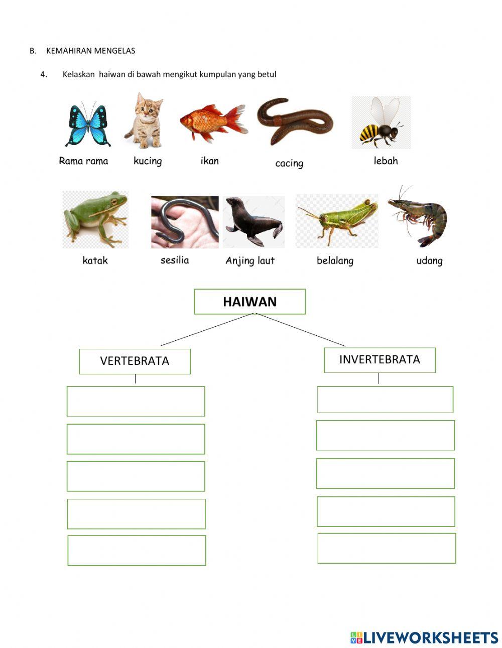 1466107 | KPS memerhati dan mengelas | Akulanajmi